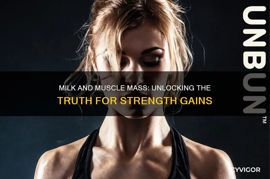 Milk And Muscle Mass: Unlocking The Truth For Strength Gains | CyVigor