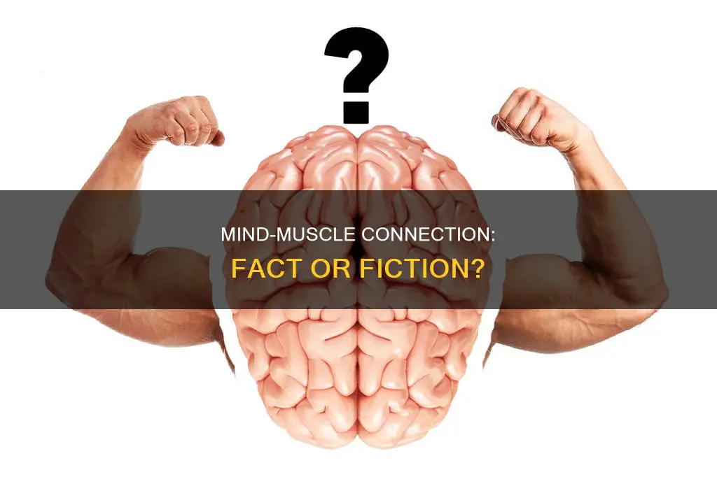 Mind-Muscle Connection: Fact Or Fiction? | CyVigor
