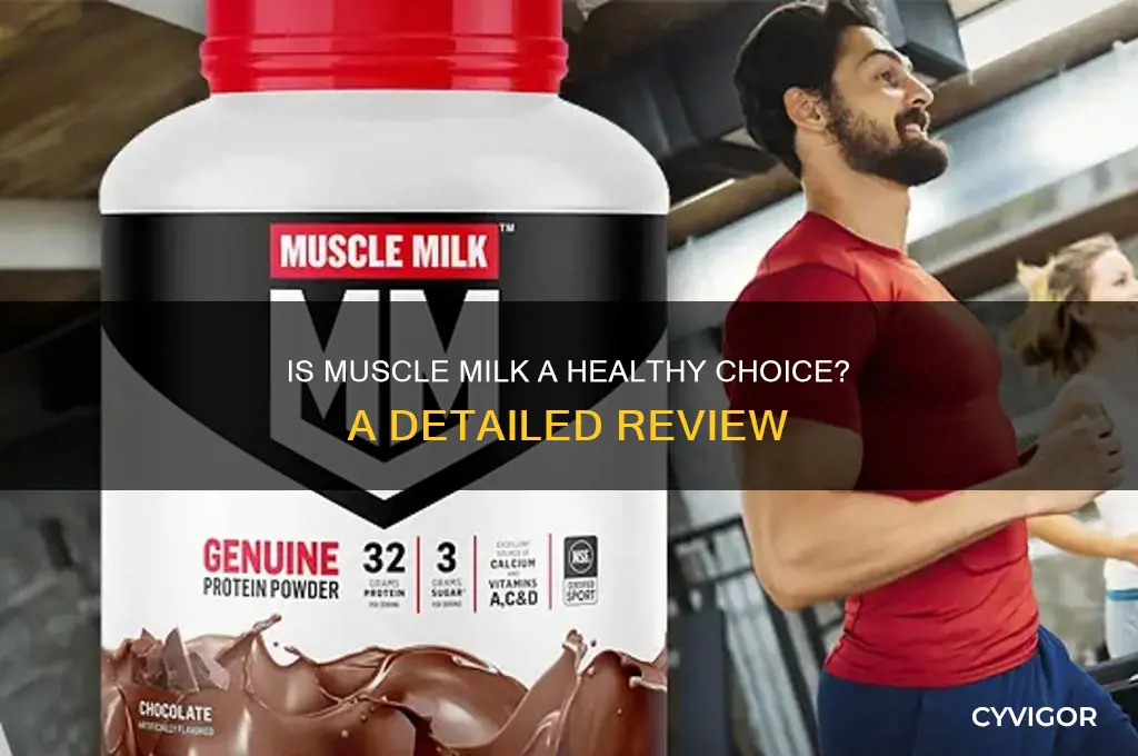 Is Muscle Milk A Healthy Choice? A Detailed Review | CyVigor