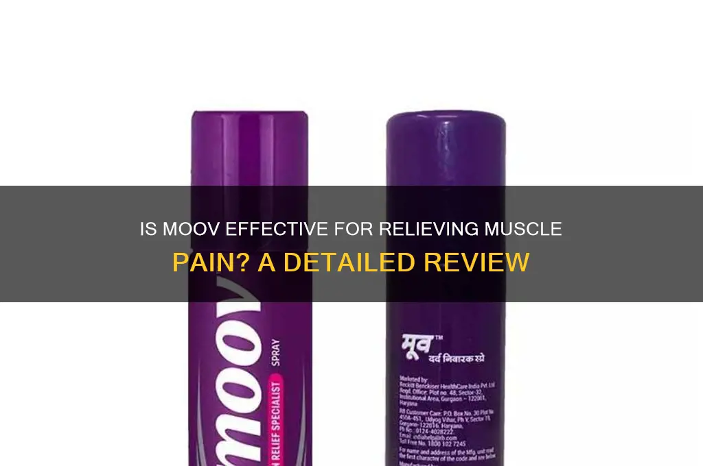 Is Moov Effective For Relieving Muscle Pain? A Detailed Review | CyVigor