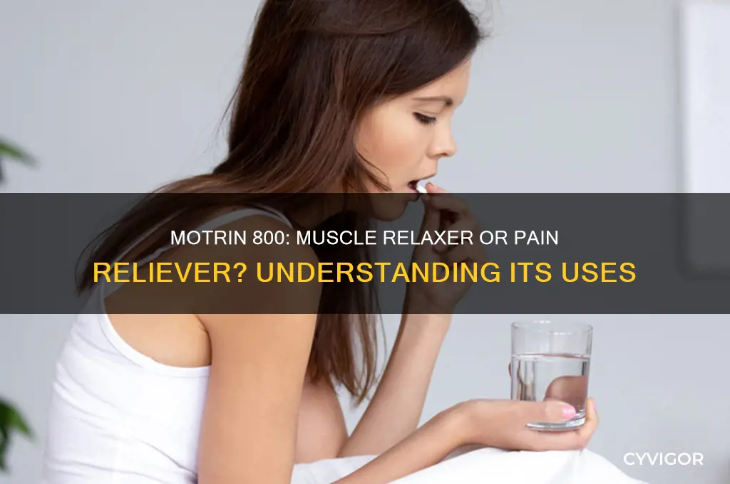 Motrin 800: Muscle Relaxer Or Pain Reliever? Understanding Its Uses ...