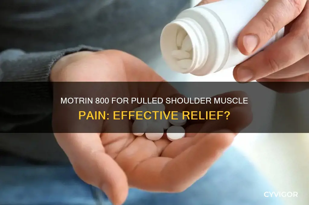 Motrin 800 For Pulled Shoulder Muscle Pain: Effective Relief? | CyVigor