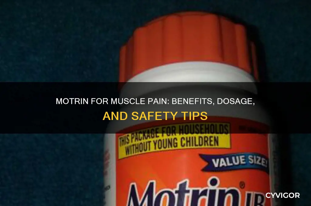 Motrin For Muscle Pain: Benefits, Dosage, And Safety Tips | CyVigor