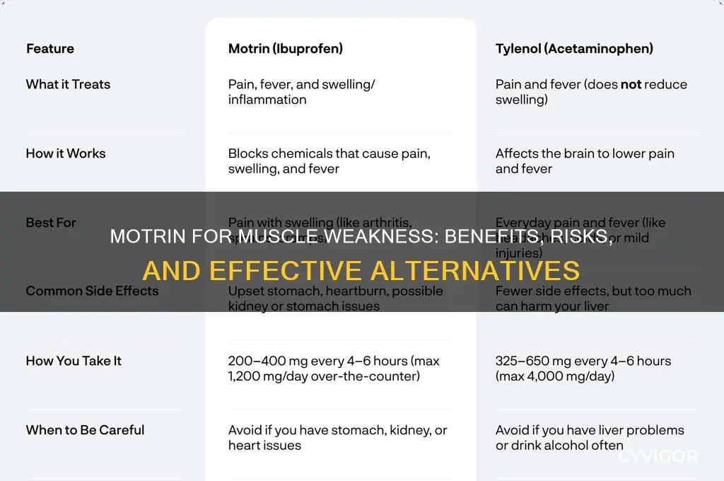 Motrin For Muscle Weakness: Benefits, Risks, And Effective Alternatives ...