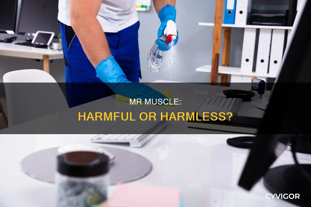Mr Muscle: Harmful Or Harmless? | CyVigor