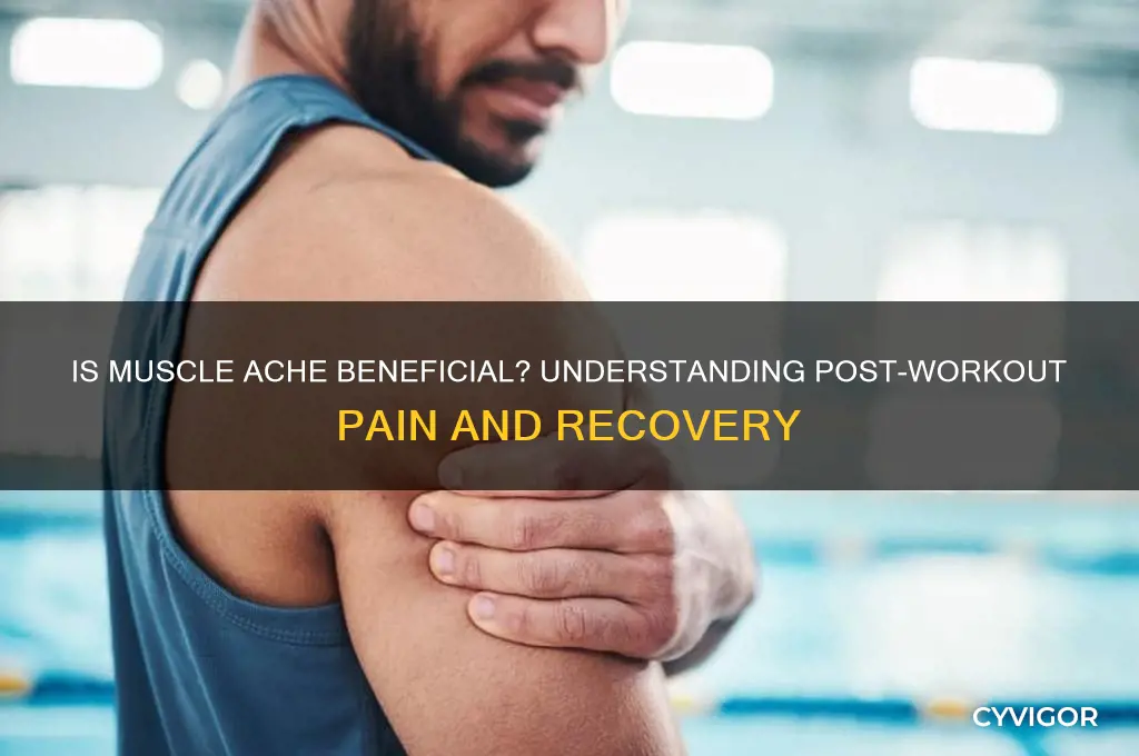 Is Muscle Ache Beneficial? Understanding Post-Workout Pain And Recovery ...