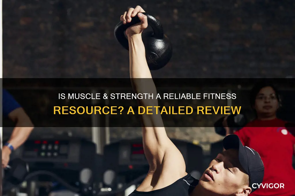 Is Muscle & Strength A Reliable Fitness Resource? A Detailed Review ...
