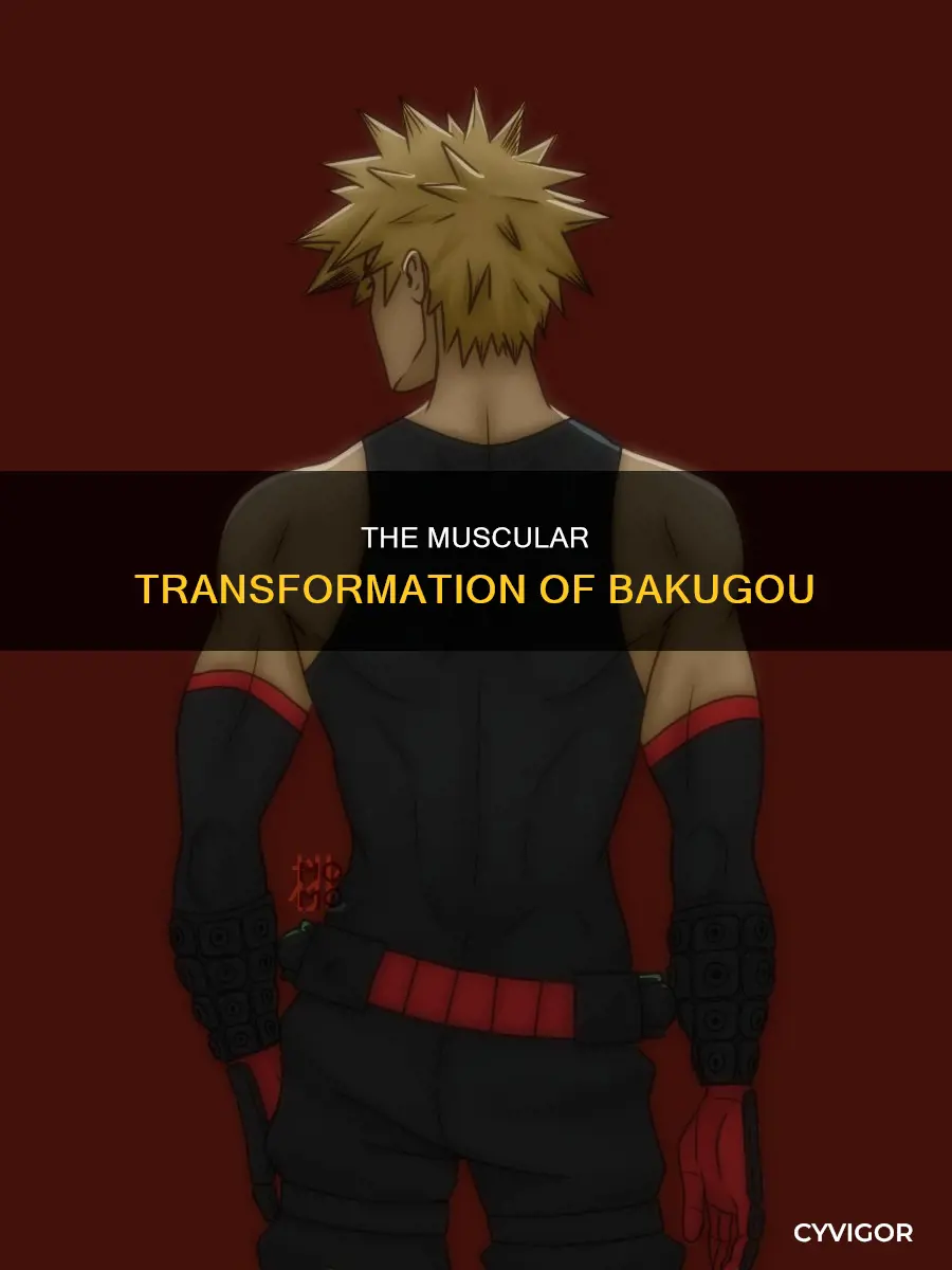 The Muscular Transformation Of Bakugou | CyVigor