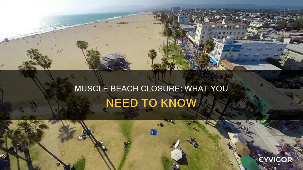 Muscle Beach Closure: What You Need To Know | CyVigor