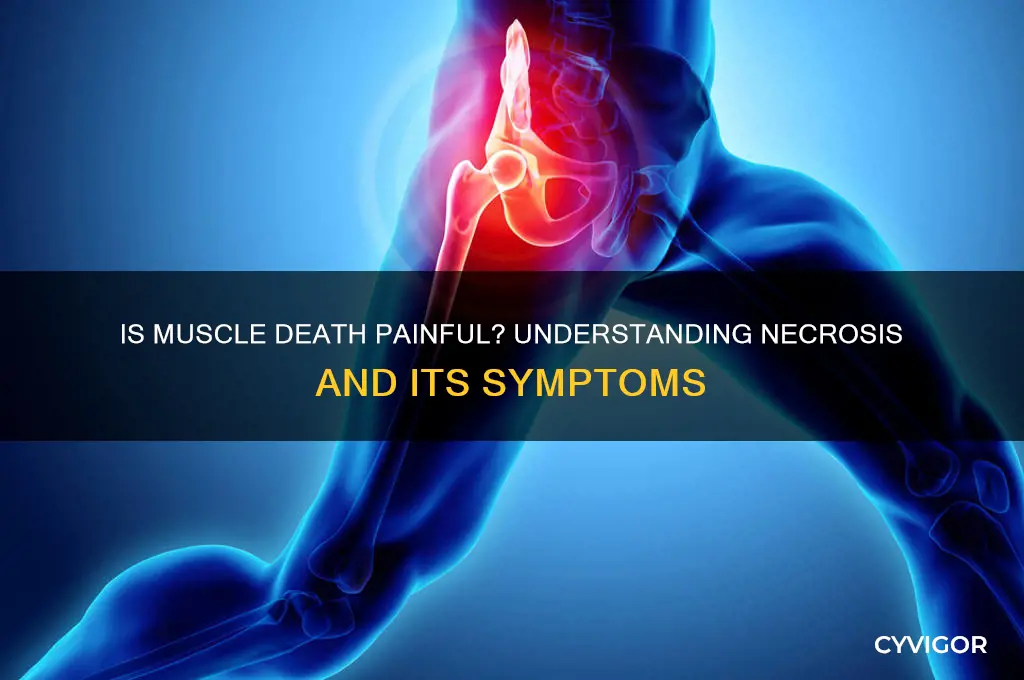 Is Muscle Death Painful? Understanding Necrosis And Its Symptoms | CyVigor