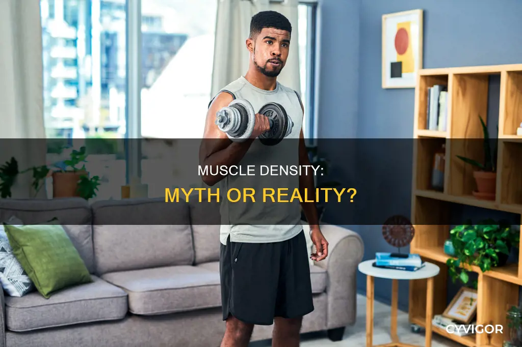 Muscle Density: Myth Or Reality? | CyVigor