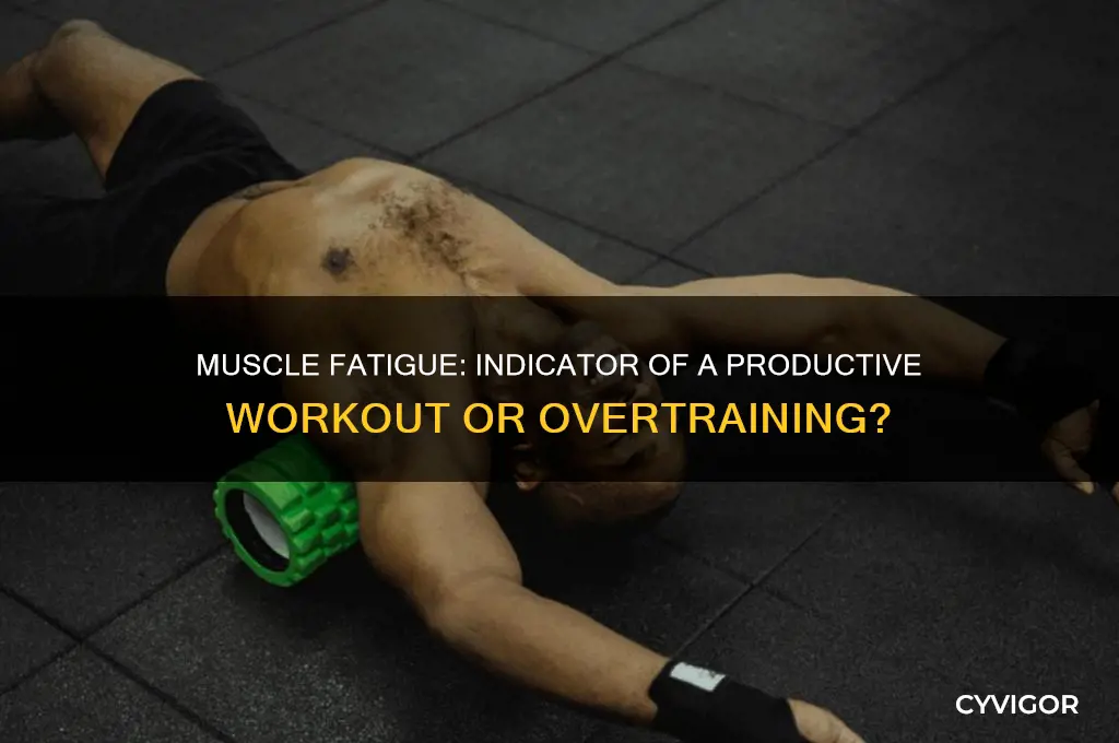 Muscle Fatigue: Indicator Of A Productive Workout Or Overtraining ...