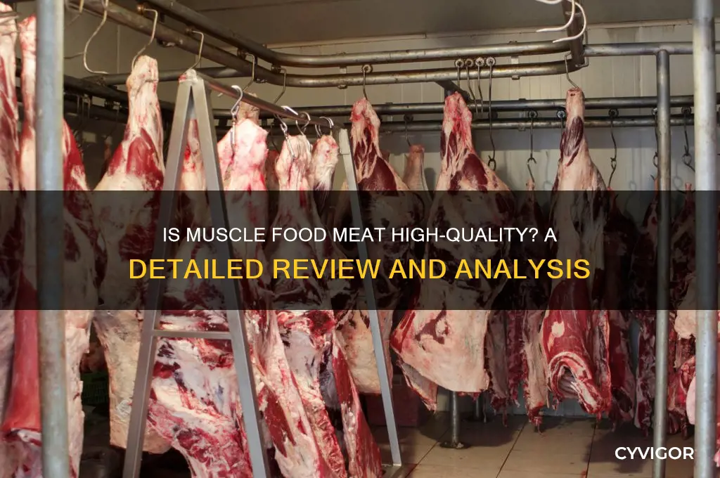 Is Muscle Food Meat High-Quality? A Detailed Review And Analysis | CyVigor