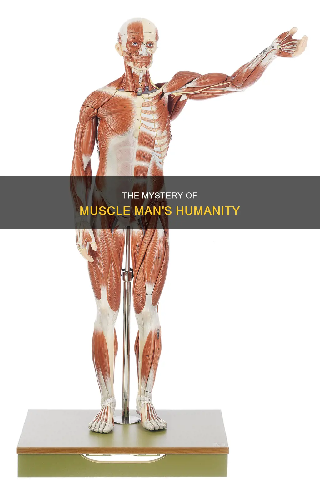 The Mystery Of Muscle Man's Humanity | CyVigor