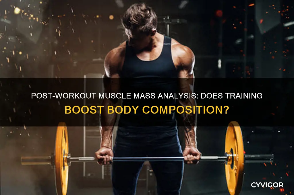 Post-Workout Muscle Mass Analysis: Does Training Boost Body Composition ...