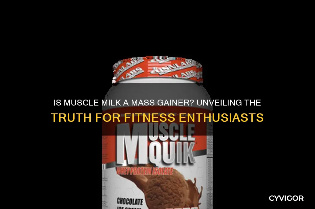 Is Muscle Milk A Mass Gainer? Unveiling The Truth For Fitness ...
