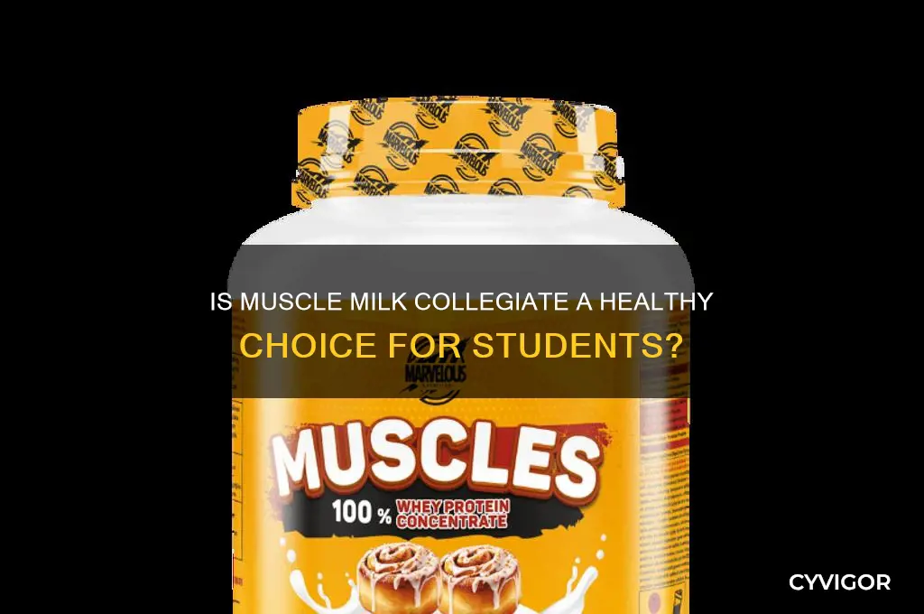 Is Muscle Milk Collegiate A Healthy Choice For Students? | CyVigor