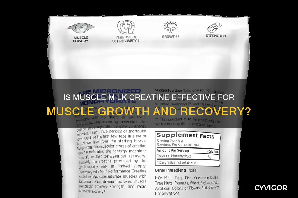 Is Muscle Milk Creatine Effective For Muscle Growth And Recovery? | CyVigor
