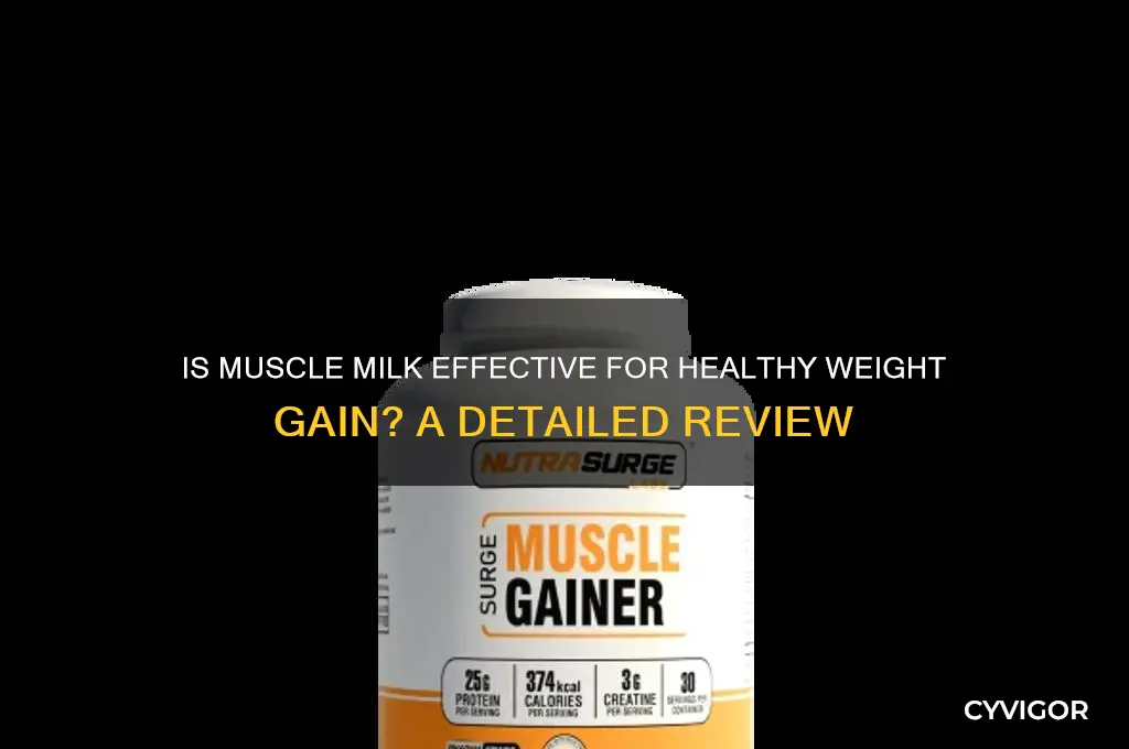 Is Muscle Milk Effective For Healthy Weight Gain? A Detailed Review ...