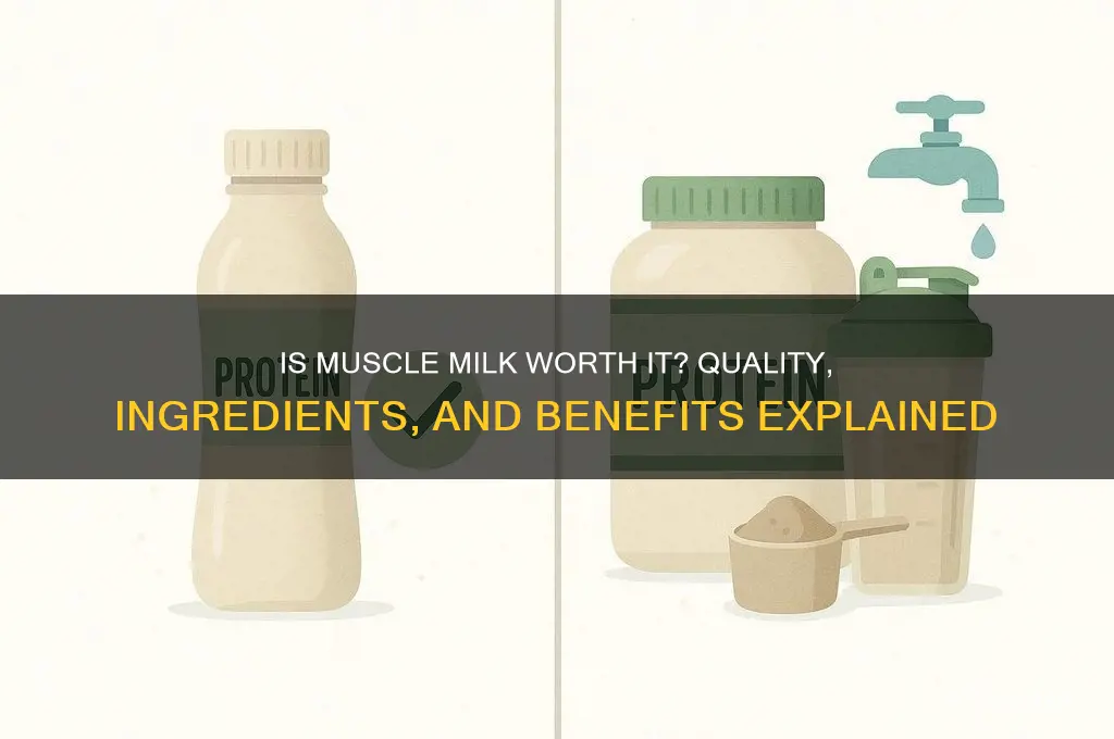 Is Muscle Milk Worth It? Quality, Ingredients, And Benefits Explained ...