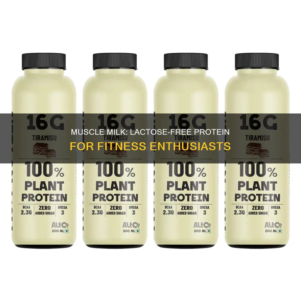 Muscle Milk: Lactose-Free Protein For Fitness Enthusiasts | CyVigor