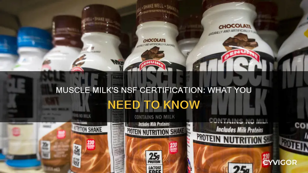 Muscle Milk's Nsf Certification: What You Need To Know | CyVigor