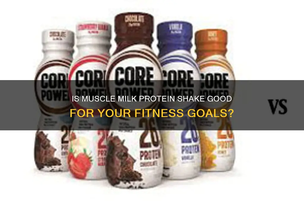 Is Muscle Milk Protein Shake Good For Your Fitness Goals? | CyVigor