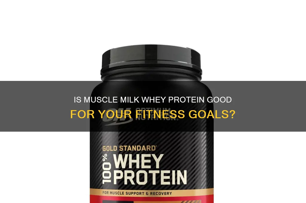 Is Muscle Milk Whey Protein Good For Your Fitness Goals? | CyVigor