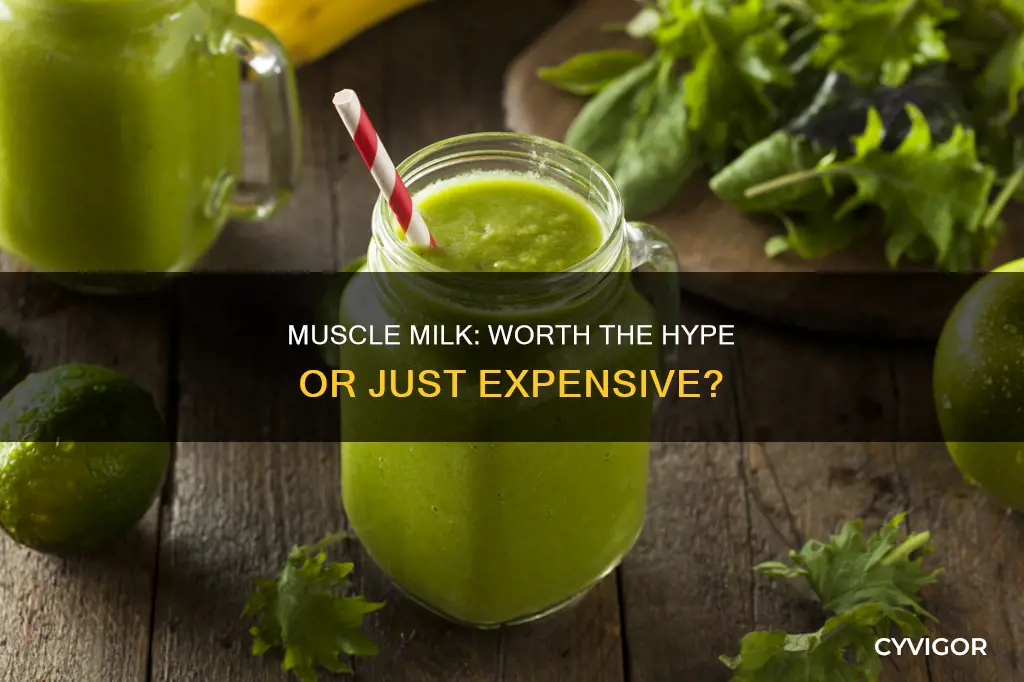 Muscle Milk: Worth The Hype Or Just Expensive? | CyVigor