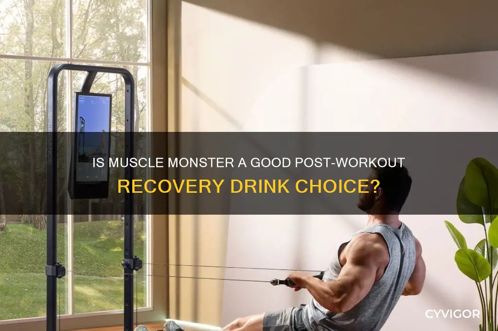 Is Muscle Monster A Good Post-Workout Recovery Drink Choice? | CyVigor