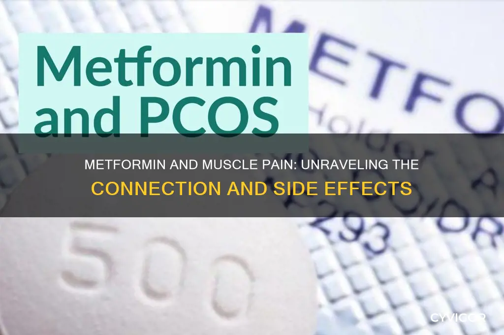 Metformin And Muscle Pain: Unraveling The Connection And Side Effects ...