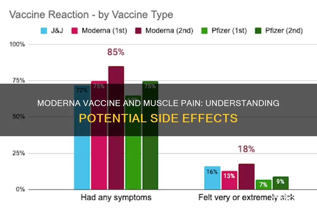 Moderna Vaccine And Muscle Pain: Understanding Potential Side Effects ...