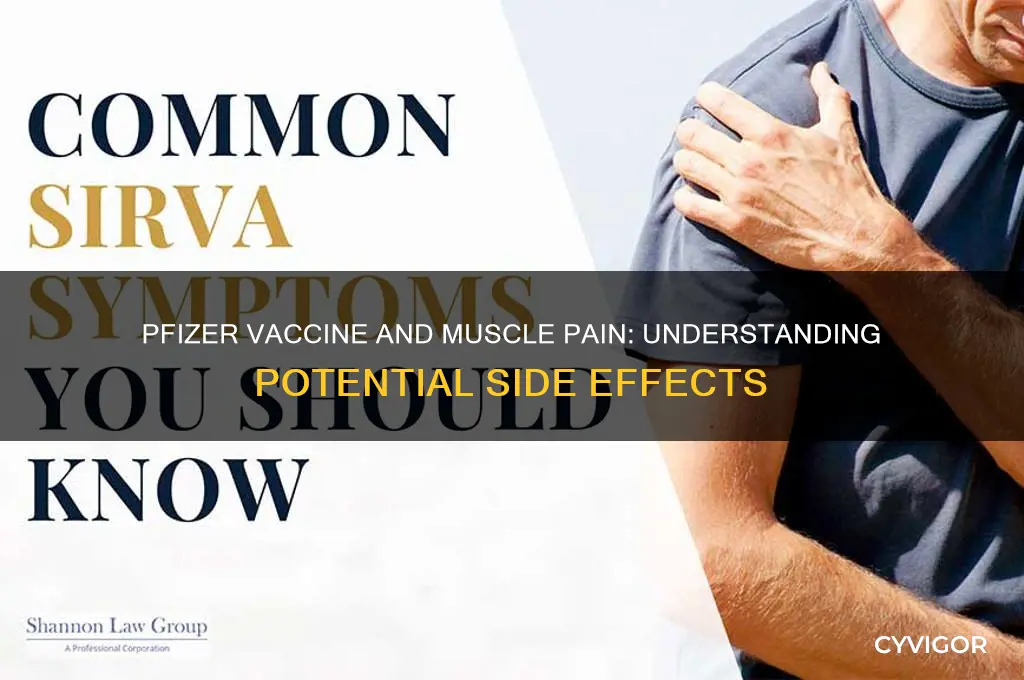 Pfizer Vaccine And Muscle Pain: Understanding Potential Side Effects ...