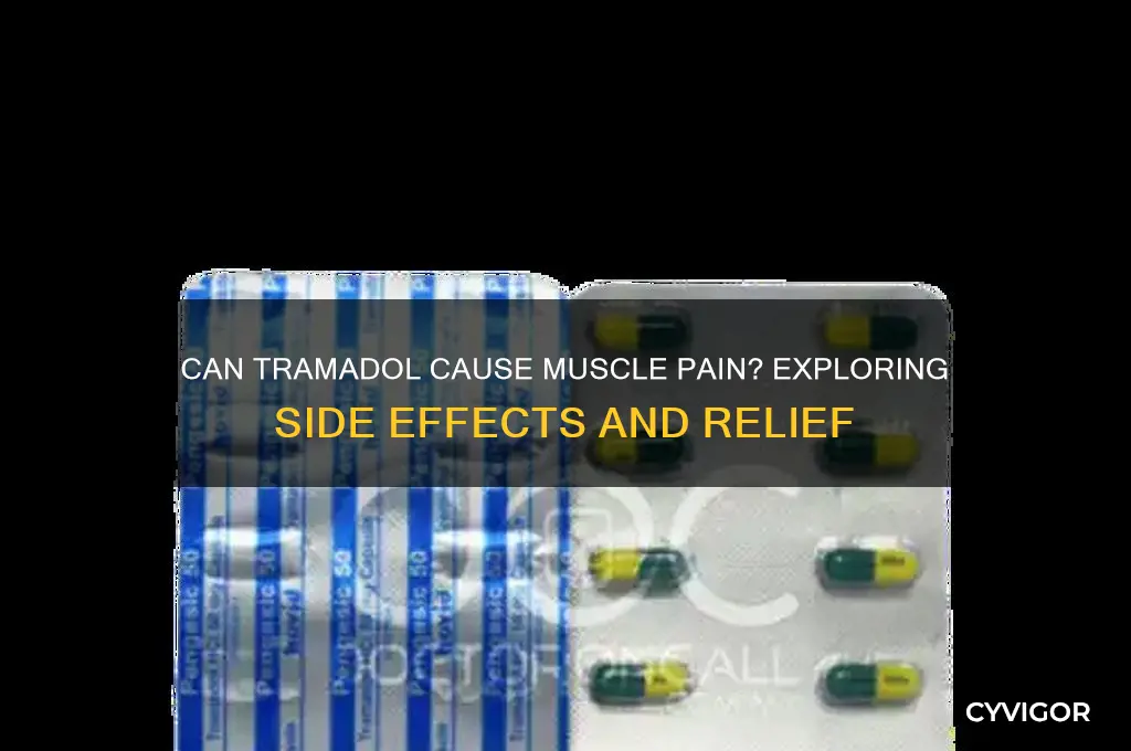 Can Tramadol Cause Muscle Pain? Exploring Side Effects And Relief | CyVigor