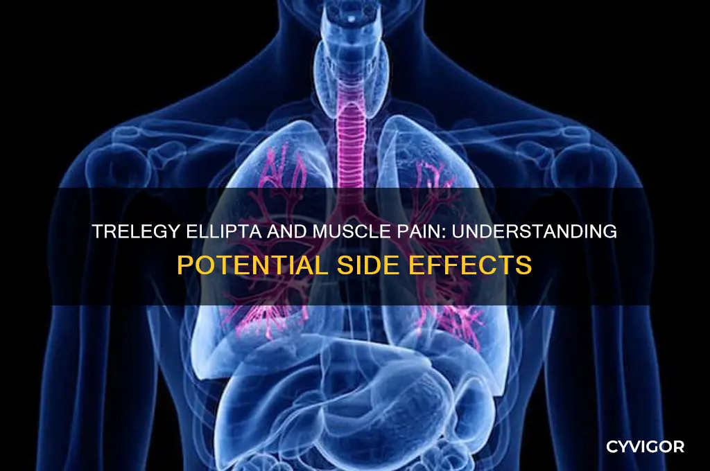 Trelegy Ellipta And Muscle Pain: Understanding Potential Side Effects ...