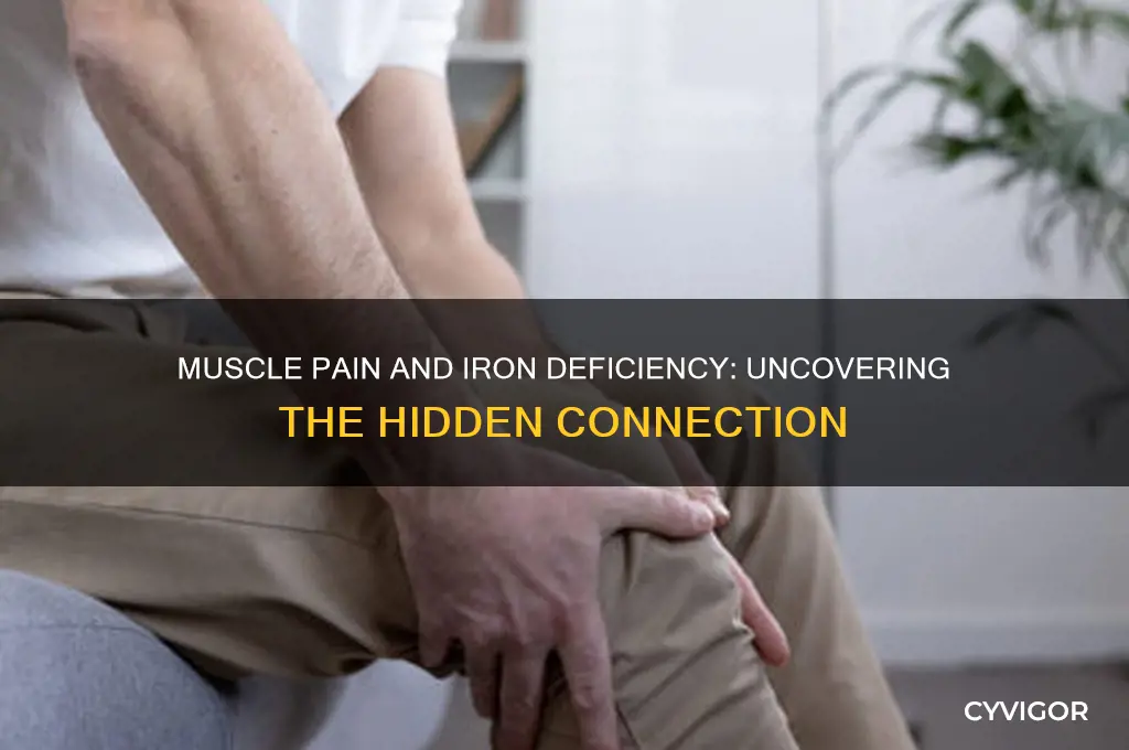 Muscle Pain And Iron Deficiency: Uncovering The Hidden Connection | CyVigor