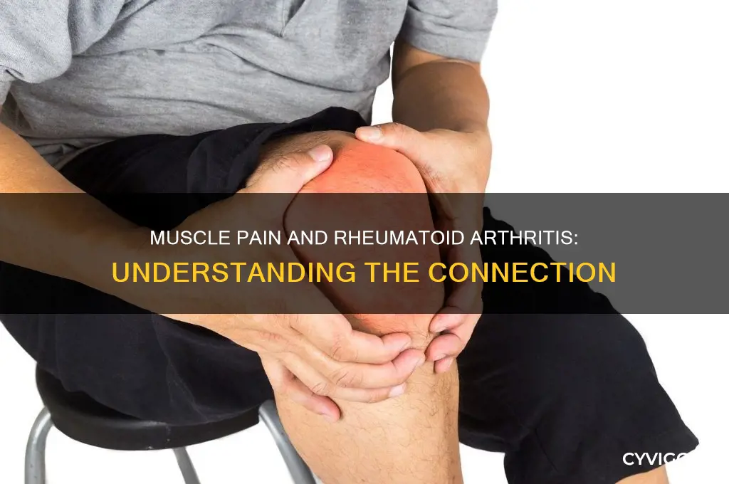 Muscle Pain And Rheumatoid Arthritis: Understanding The Connection ...