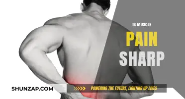 Is Muscle Pain Tender To Touch? Understanding Causes And Relief | CyVigor