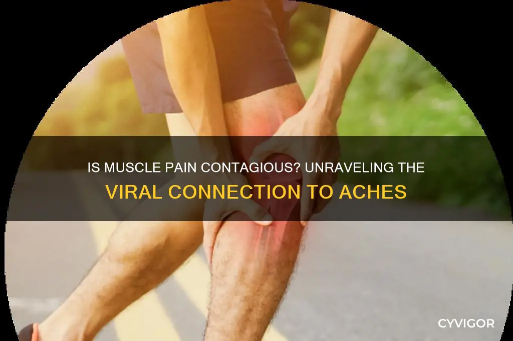 Is Muscle Pain Contagious? Unraveling The Viral Connection To Aches ...