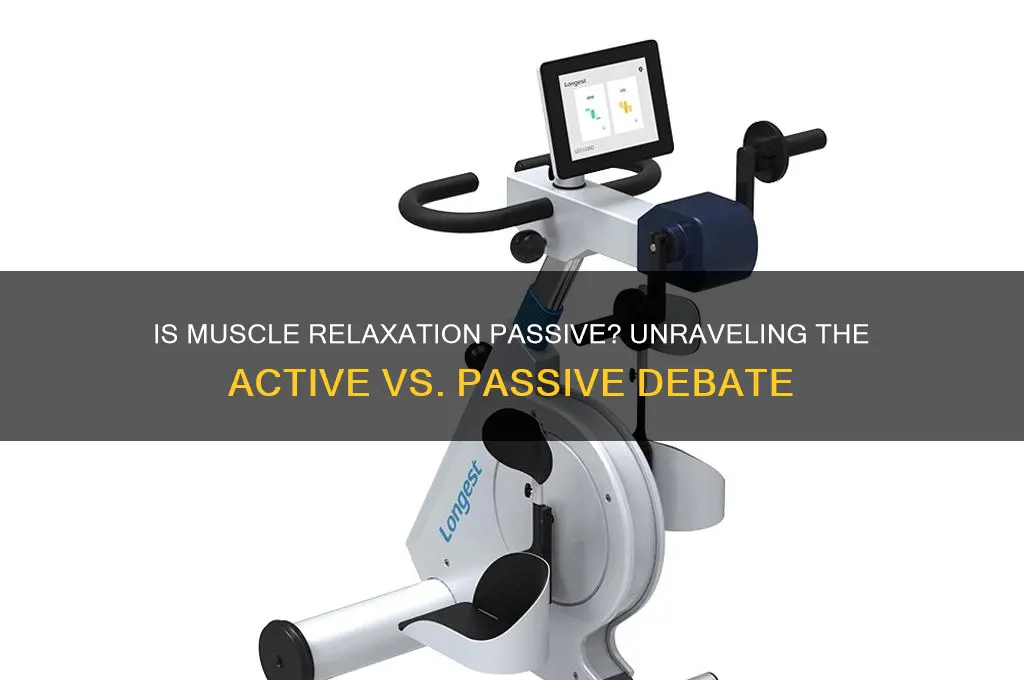 Is Muscle Relaxation Passive? Unraveling The Active Vs. Passive Debate ...