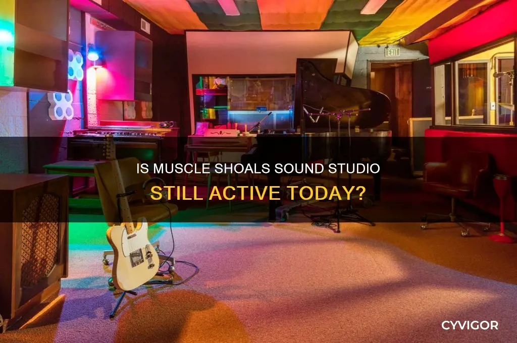Is Muscle Shoals Sound Studio Still Active Today? | CyVigor