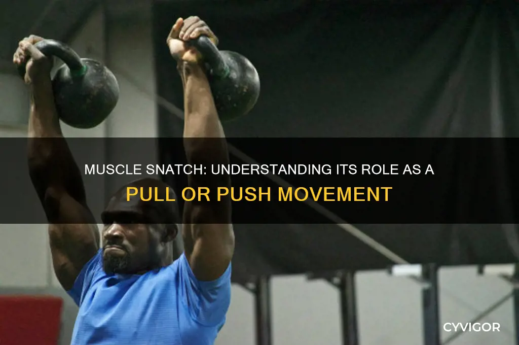 Muscle Snatch: Understanding Its Role As A Pull Or Push Movement | CyVigor