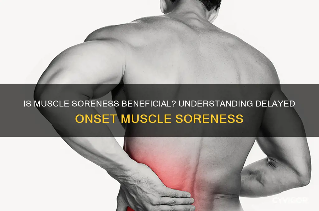 Is Muscle Soreness Beneficial? Understanding Delayed Onset Muscle ...