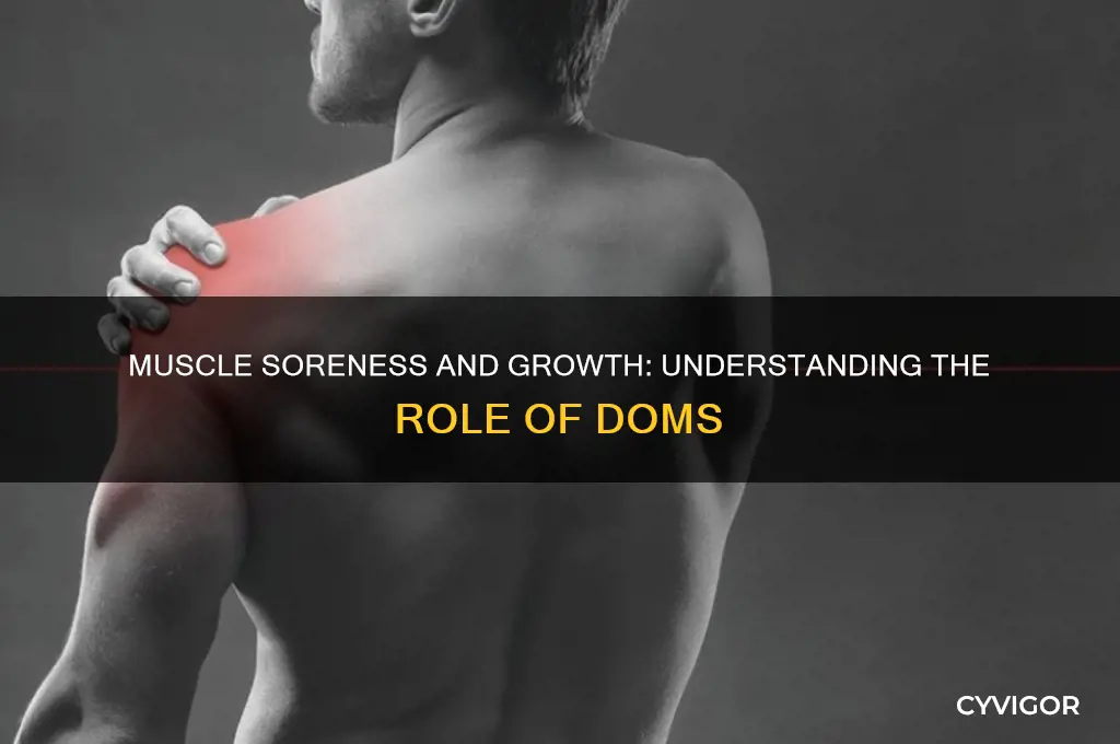 Muscle Soreness And Growth: Understanding The Role Of Doms | CyVigor