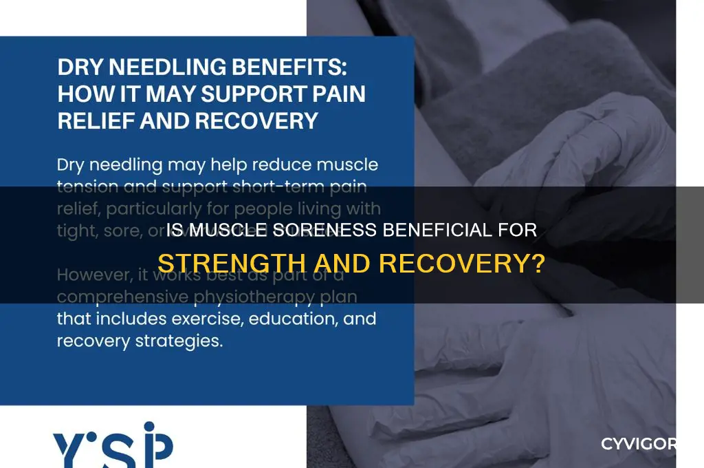 Is Muscle Soreness Beneficial For Strength And Recovery? | CyVigor