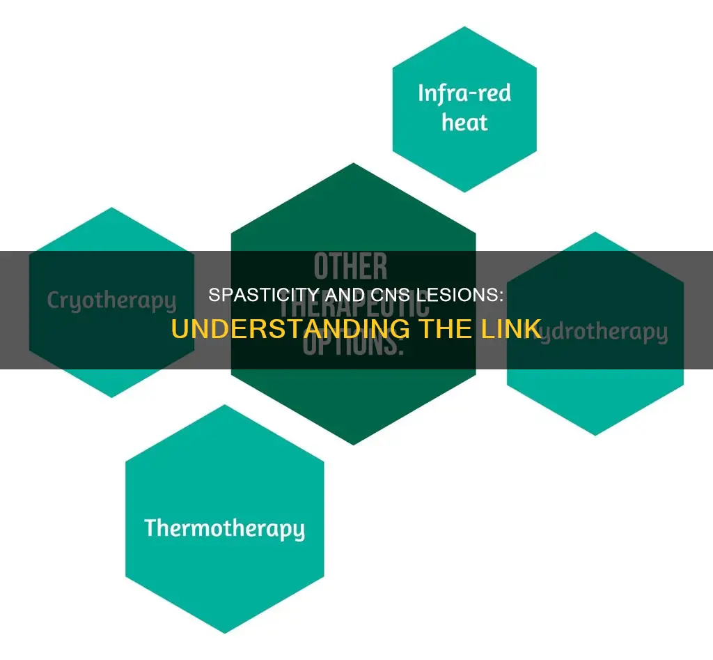 Spasticity And Cns Lesions: Understanding The Link | CyVigor