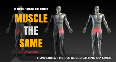 Muscle Mechanics: Does Insertion Pull Towards Origin In Movement? | CyVigor