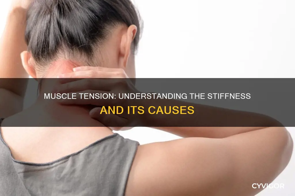 Muscle Tension: Understanding The Stiffness And Its Causes | CyVigor