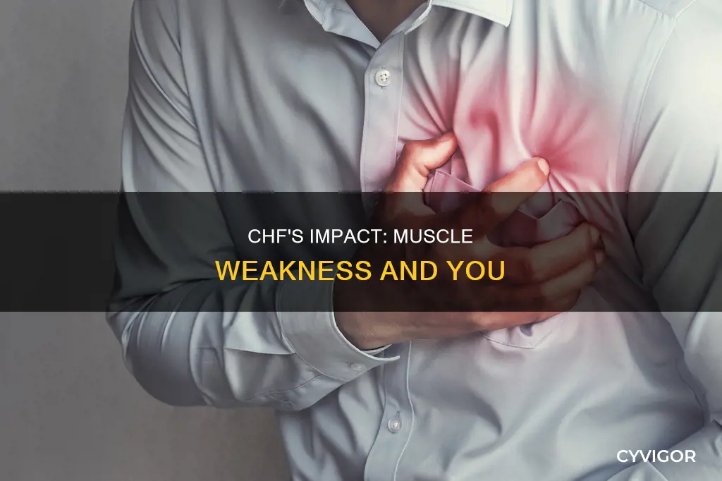 Chf's Impact: Muscle Weakness And You | CyVigor
