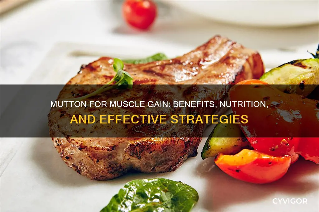 Mutton For Muscle Gain: Benefits, Nutrition, And Effective Strategies ...